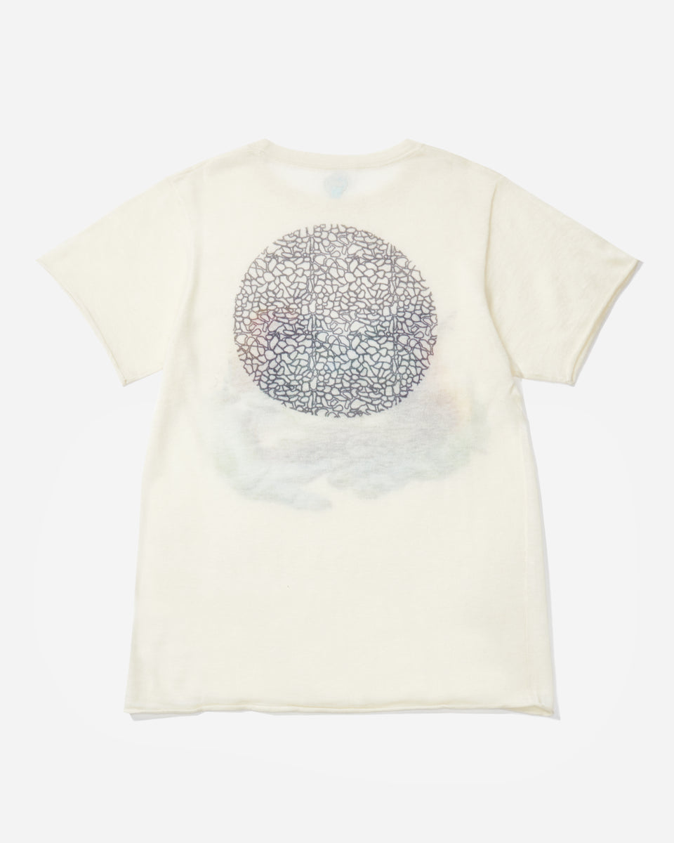 Froggy Tee – Adrian Cashmere